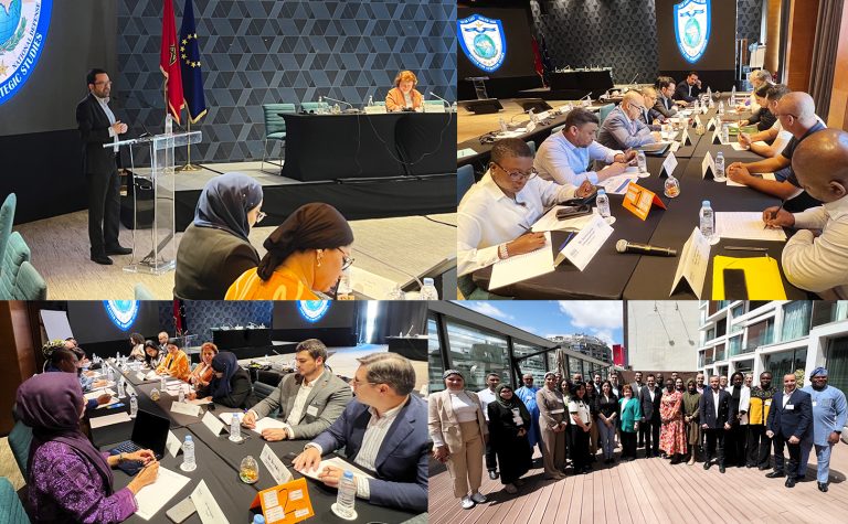 NESA-IEMed-AFRICOM The New Face of Security, Conflict and War Workshop ...